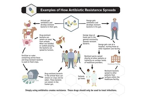 Multidrug Resistant Organisms MDROs Growing Spreading And Killing