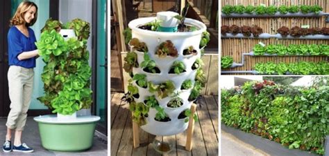 20 Vertical Vegetable Garden Ideas Home Design Garden