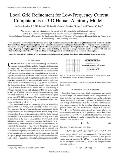 pdf local grid refinement for low frequency current computations in 3 d human anatomy models