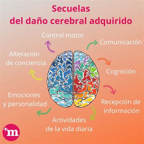 Daño cerebral adquirido encuentra tu neurólogo en Masquemedicos