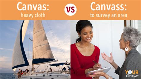 Canvas Vs Canvass Surveying The Difference And Usage Yourdictionary
