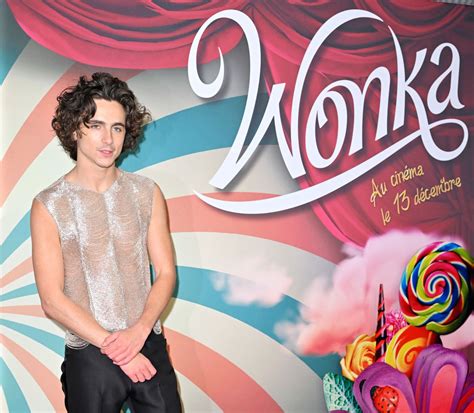 Timothée Chalamet sobre ser el nuevo idealista Willy Wonka Algo más