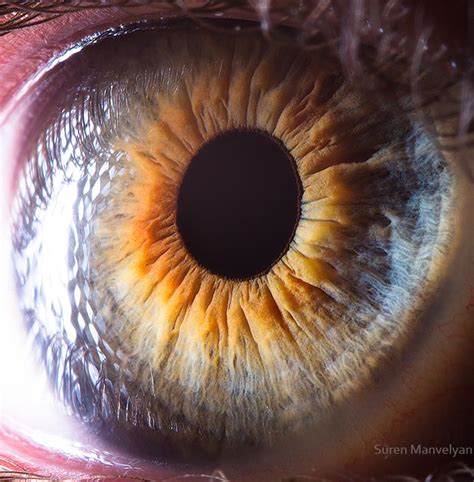 Your Beautiful Eyes Amazing Close Up Photos Of Human Eyes By Suren