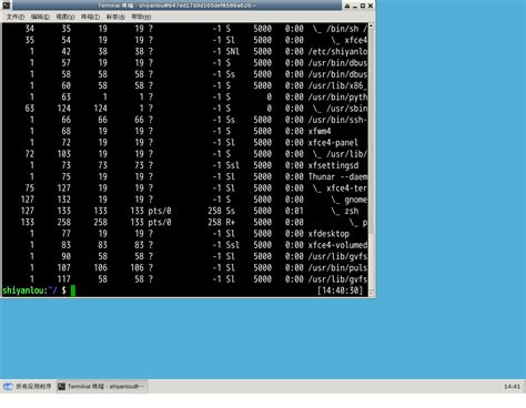 linux 进程管理 蓝桥云课