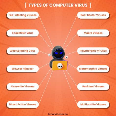 Common Types Of Computer Virus And How To Avoid Them Binary It