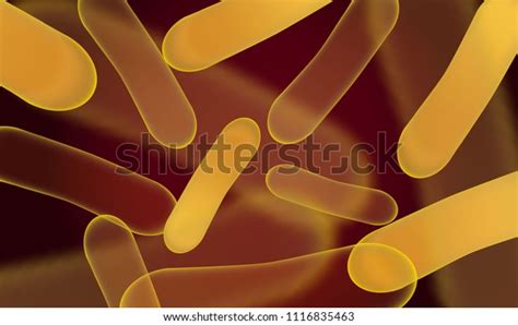 Probiotics Bacteria Lactobacillus Salivarius Vector Illustration 库存矢量图