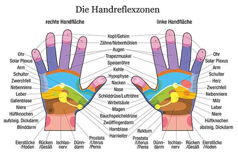 570 Reflexology Hand Stock Illustrations Royalty Free Vector Graphics And Clip Art Istock