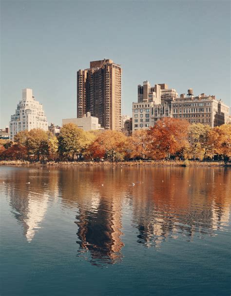 New York Autumn Foliage Gina Bear S Blog