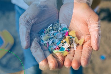 Global Theme Announced For World Environment Day 2023 Solutions To