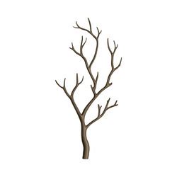Bare Tree Branch Or Twigs With Naked Stem And Snag