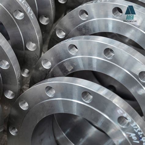 Professional ANSI DIN En Stainless Steel Flanges Alloy Steel Forged