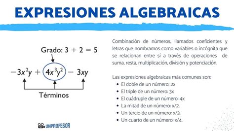 Qué es una expresión algebraica y 5 ejemplos Apolonio es