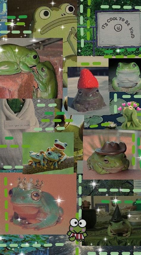 Frogs Aesthetic Cottagecore Random Frogs Sassy By Alliejaythrowaway