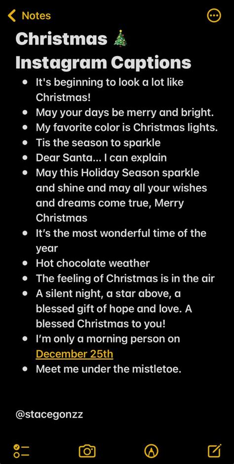 Christmas Instagram Captions Witty Instagram Captions Instagram