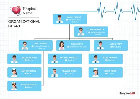 Organizational Chart Design Health Care Hospital Michael Faraday