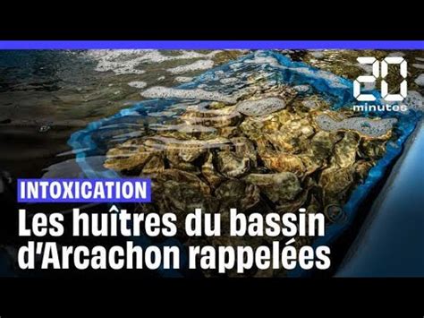 Bassin d Arcachon Les huîtres interdites à la vente après des
