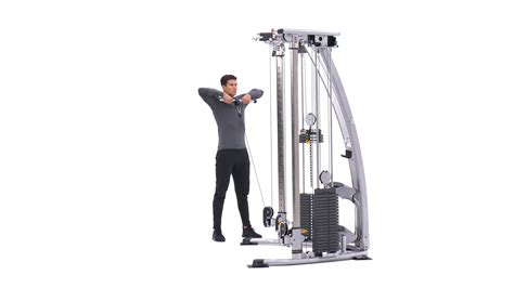 Vertical Row Exercise Atelier Yuwa Ciao Jp