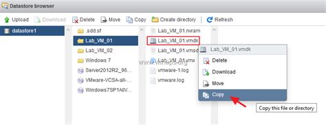 How To Clone A Virtual Machine On VSphere Hypervisor ESXi 6 7