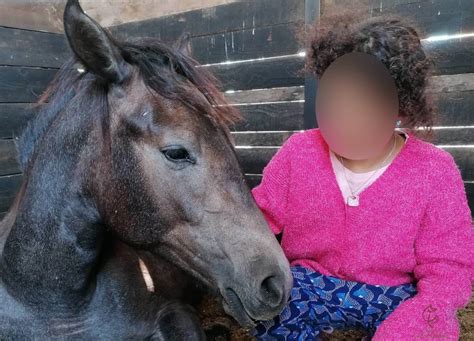 L équithérapie Ou Thérapie Facilitée Par Les Chevaux Equiviva