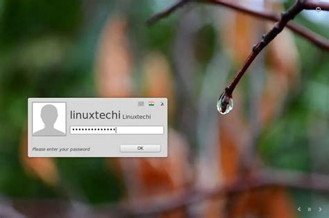 Linux Mint 18 Sarah Installation Guide With Screenshots