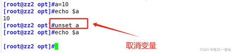 linux系统shell脚本 编程规范和变量详细解读（一） linux的shell脚本编程 csdn博客