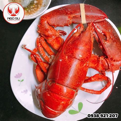 Bộ sưu tập tôm hùm độc đáo với hơn 999 hình ảnh chất lượng siêu nét 4K