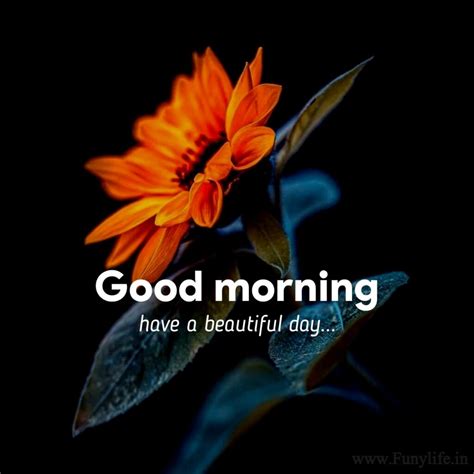 Incredible Compilation Of Good Morning Images Over 999 Pictures In
