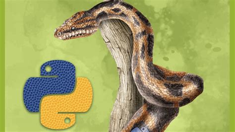 learn python and become professional python developer