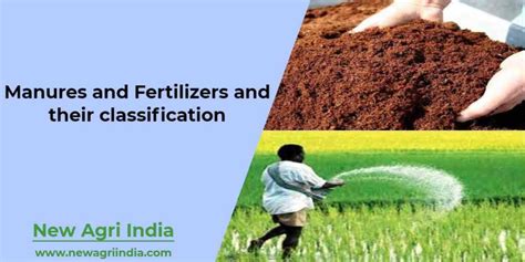 Manures And Fertilizers And Their Classification
