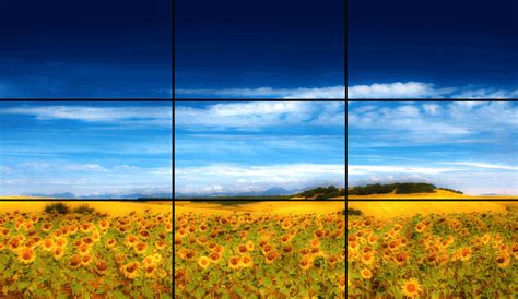 11 Reglas básicas de composición fotográfica que debes conocer