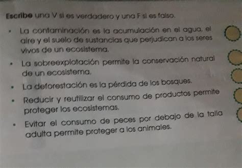 Escribe Una V Si Es Verdadero Y Una F Si Es Falso Brainly Lat