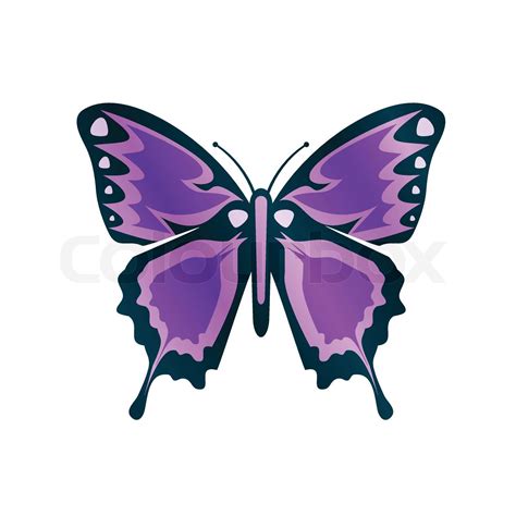 Lila Schmetterling Stock Vektor Colourbox