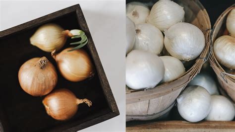 Cebolla blanca vs cebolla dorada Cómo utilizar cada una en la