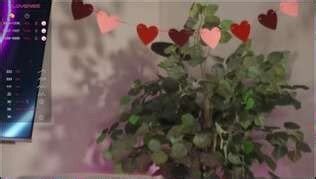 Oki Dokie 2024 02 14 19 42 Free Cam Show And Xxx 2 Ipad WebCam Ce