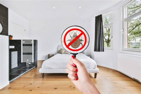 Peut on réellement redouter une infestation massive de punaises de lit