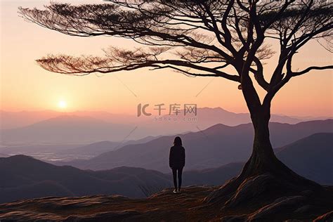 日落时站在一棵树旁的女人背景图片免费下载 海报banner 高清大图 千库网 图片编号6959613