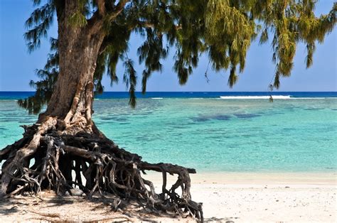 Les 14 choses incontournables à faire à Saint Gilles les Bains