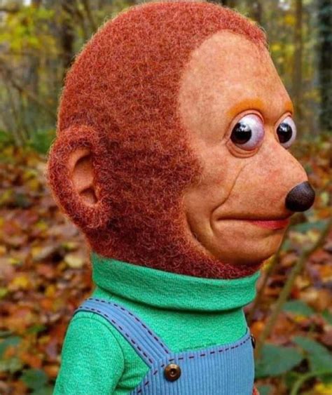 This Realistic Monkey Puppet From The Monkey Puppet Meme R