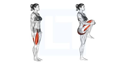 Lying Knee To Chest Stretch Guide Benefits And Form