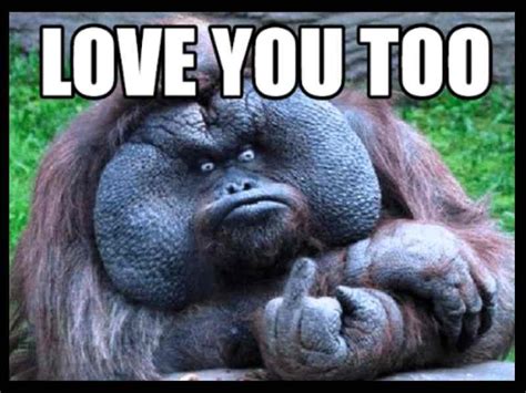 I Love You Too Meme Funny