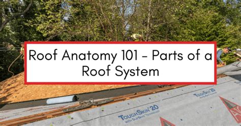Roof Anatomy Parts Of A Roof System Aic Roofing Construction