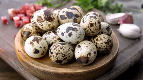 Huevos De Codorniz Tips Para Aprovecharlos En Todo Tipo De Comidas