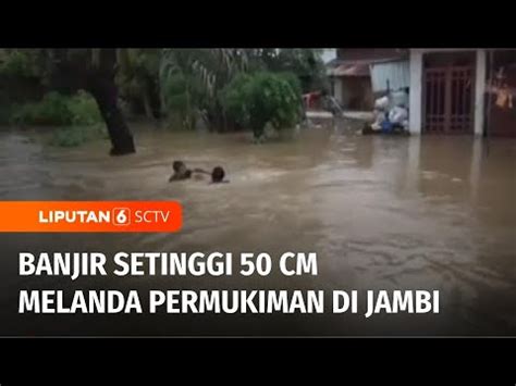 Banjir Rendam Permukiman Di Jambi Setinggi 50 Cm Liputan 6 YouTube