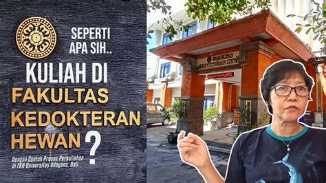 Sekilas Kuliah Kedokteran Hewan Sampai Jadi Dokter Hewan Di FKH