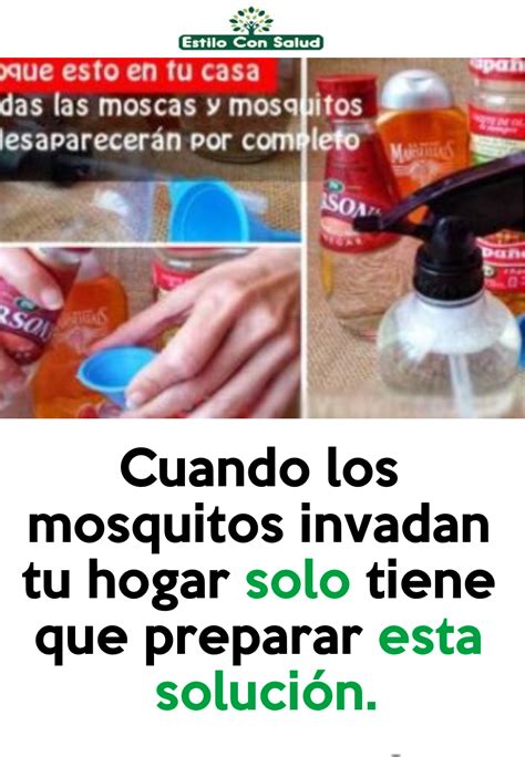 Cuando Los Mosquitos Invadan Tu Hogar Solo Tiene Que Preparar Esta