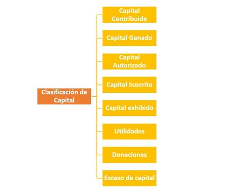 Clasificación de Capital Cómo se clasifican