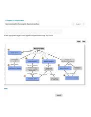 Mastering Biology Macroevolution Png Chapter Core Content