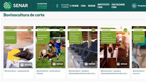 Curso online de nutrição de bovinos de corte é oferecido pelo Senar