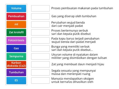 BAGIAN TUBUH TUMBUHAN DAN FUNGSINYA Match Up
