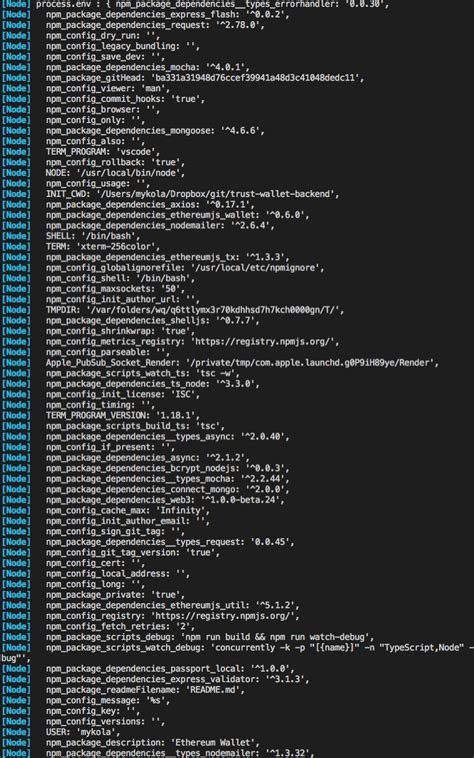 typescript npm packages in process env stack overflow